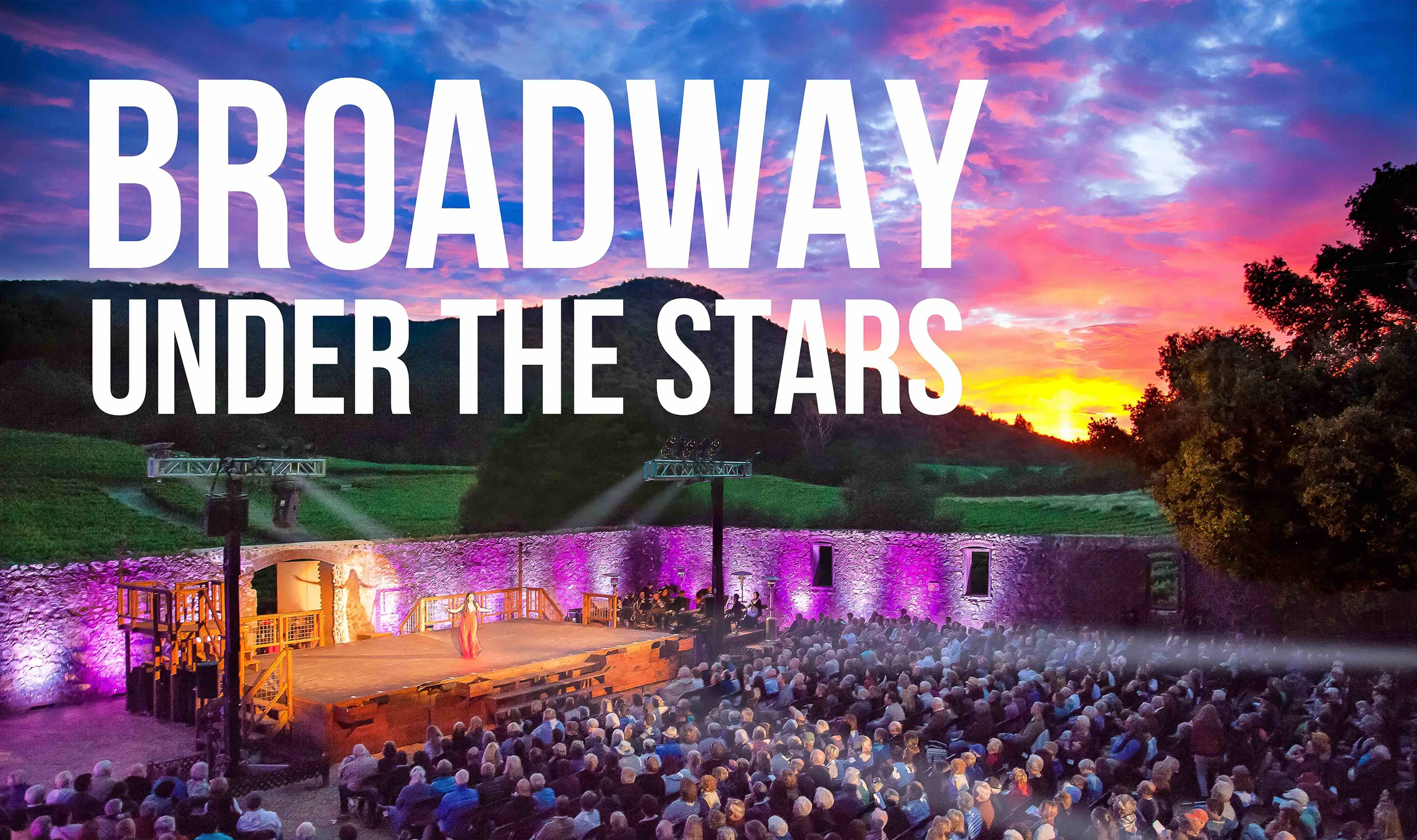 Member Spotlight: Amy Miller of Transcendence Theatre Company - SOMO Cowork